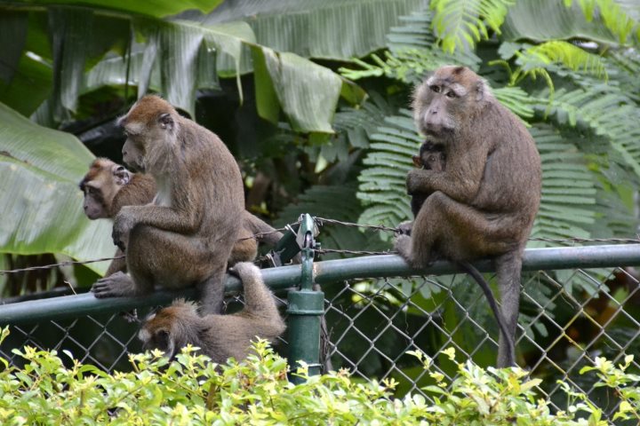 Life and Love and Why: What I love about Subic!