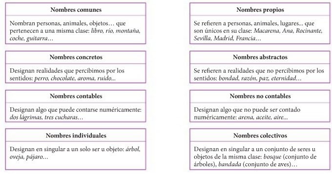 LENGUA 1ESO ESCOLAPIOS BILBAO: El nombre o sustantivo