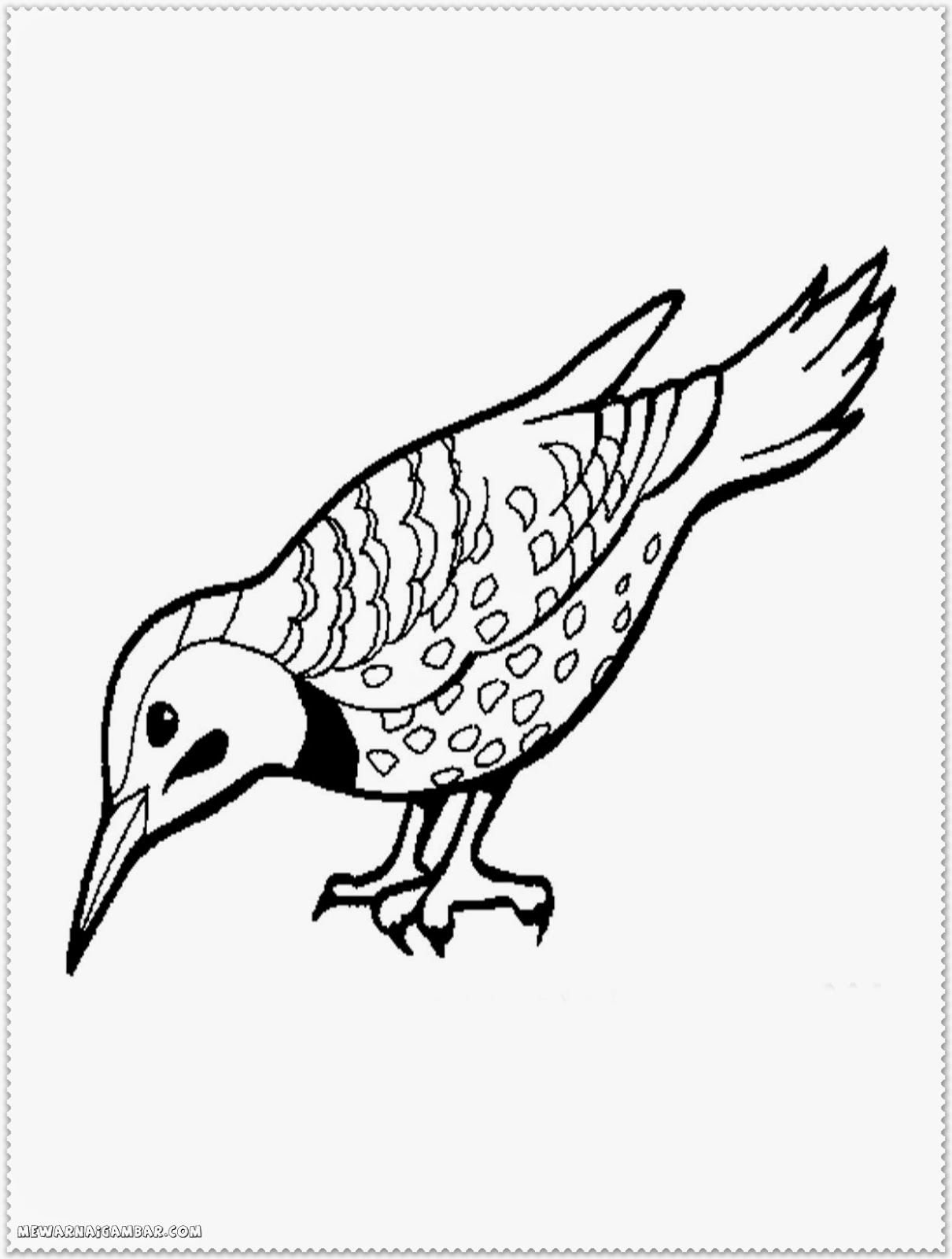 Realistic Bird Coloring Pages Sketch Coloring Page