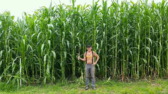 Seed Revolution Now!: Working Together To Build The California Seed Network