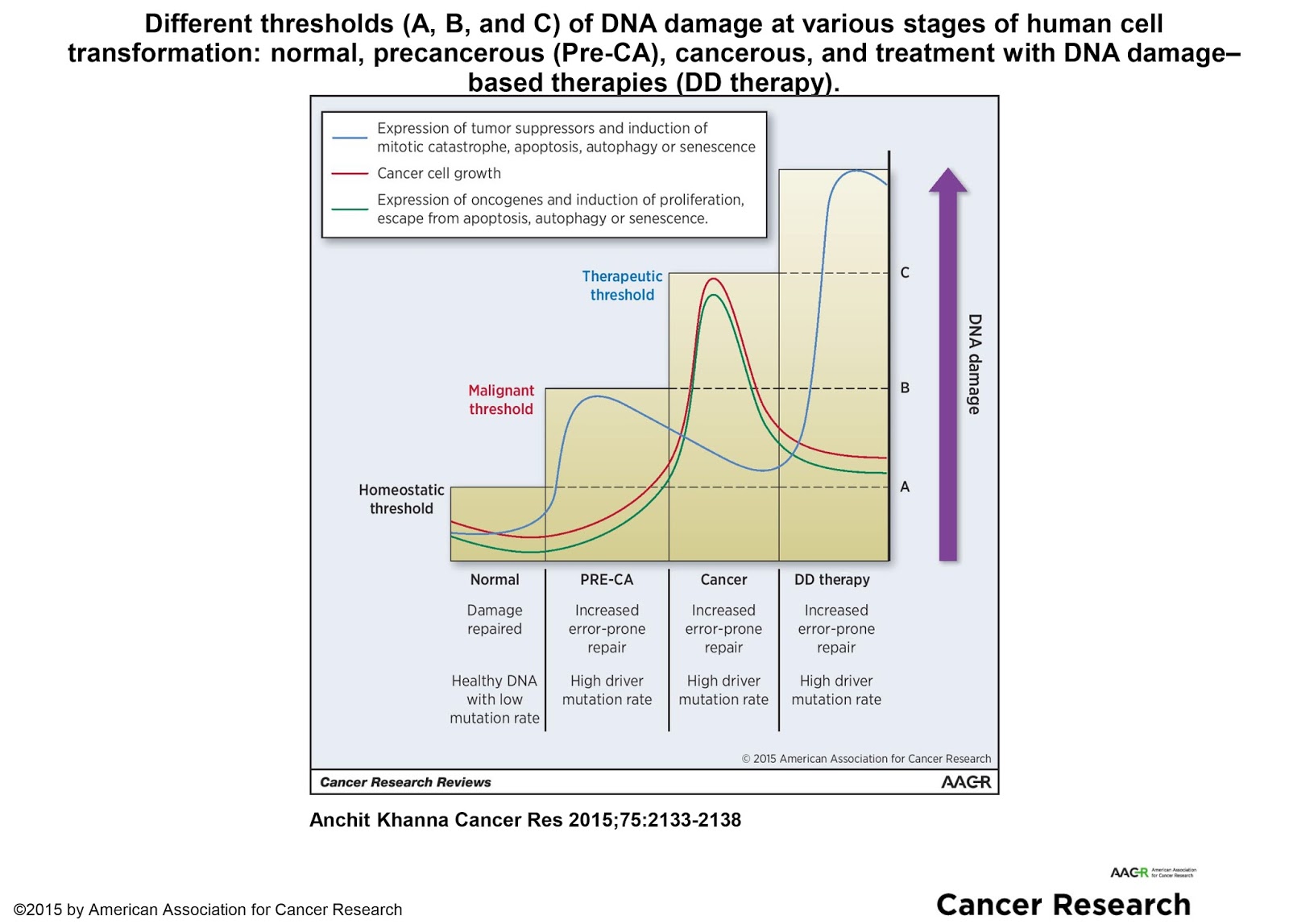 FIGHT AGAINST CANCER - Dr. Anchit Khanna