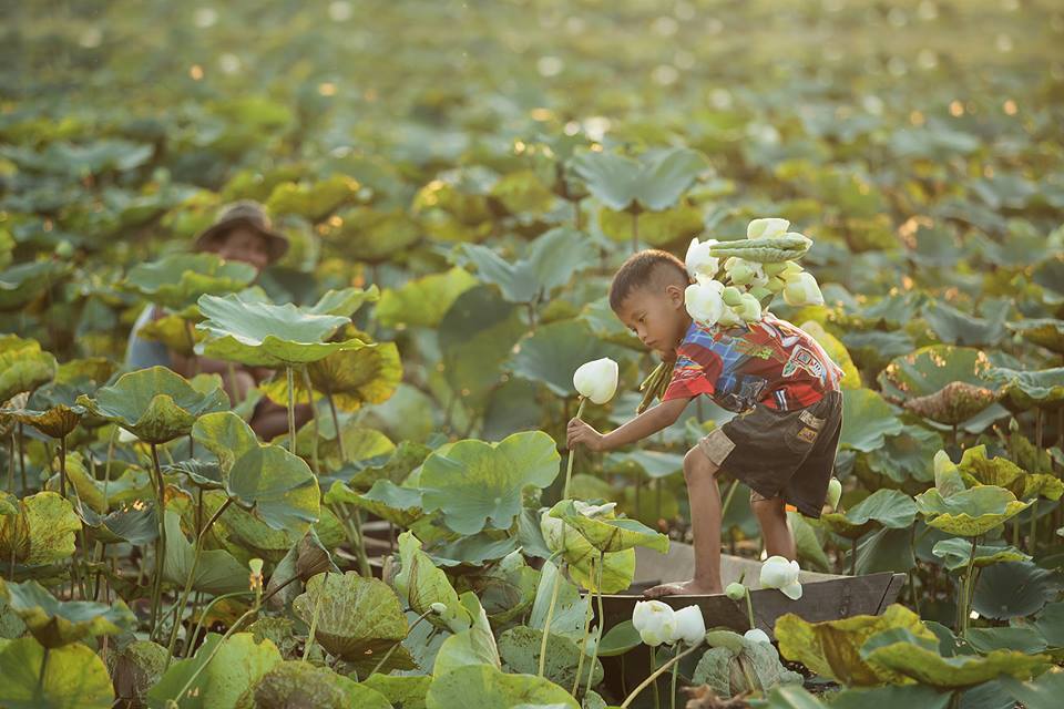 The Beauty of Life in The Village - all about photo