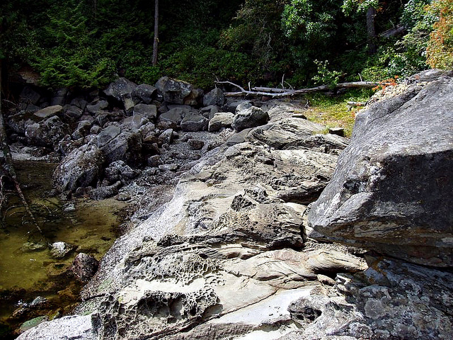 Everything Nanaimo: DODD NARROWS