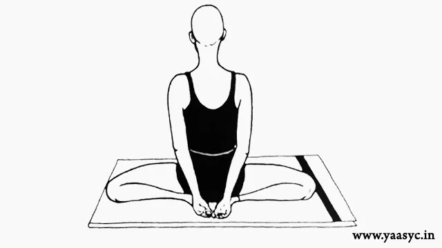 भद्रासन की विधि लाभ सावधानियां | Bhadrasana Kaise Kare | भद्रासन के फायदे