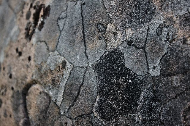 Domesticated: Rait Castle & Barevan Graveyard: Raven's Photographs