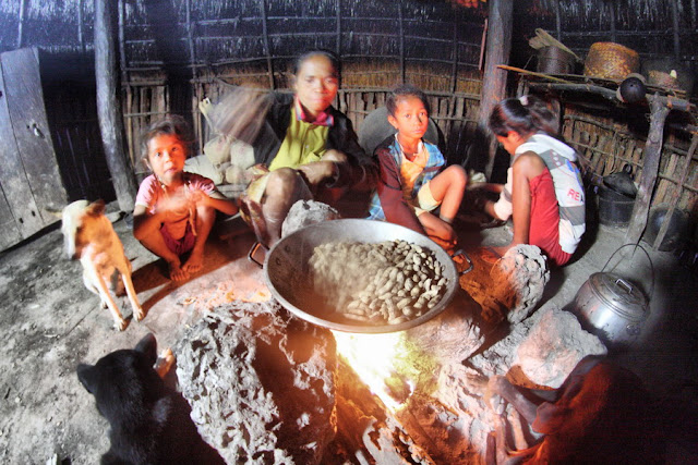 Ume Kbubu the Legacy of Timor Island - Dhavers