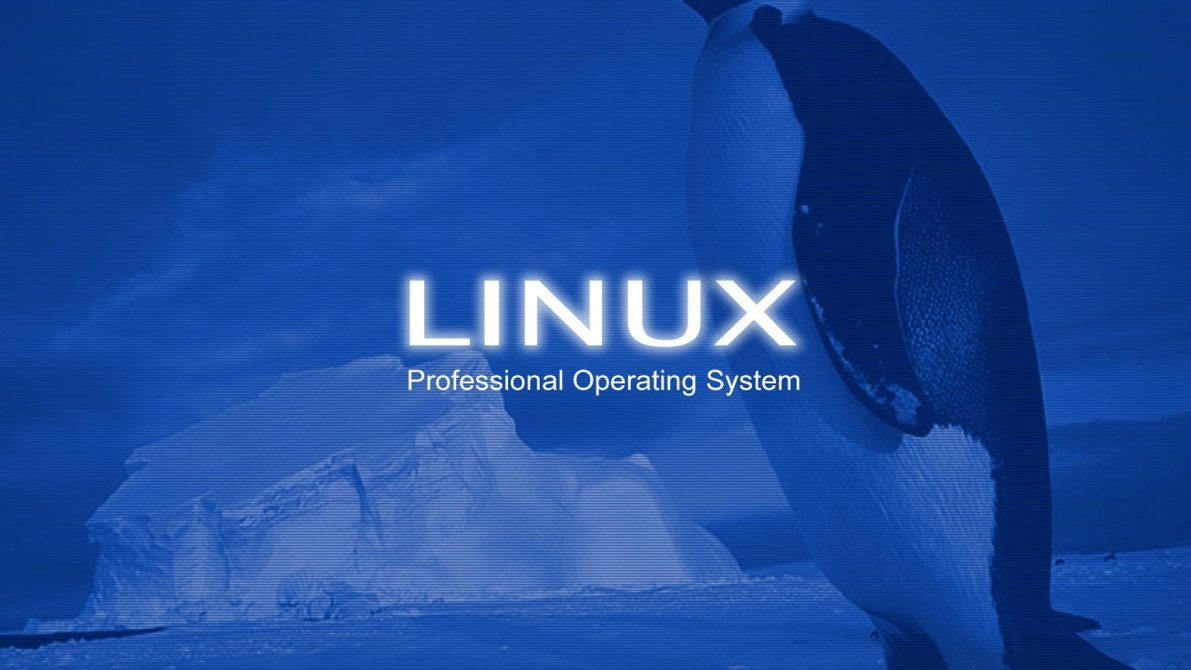 Otro buen wallpaper de Linux: Professional Operating System / commandcat