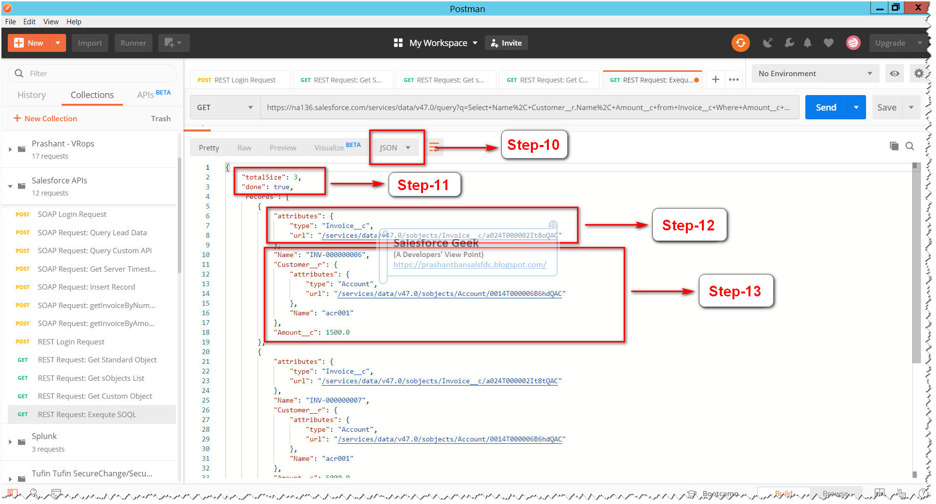 Salesforce REST API: How to Execute SOQL Queries using REST APIs