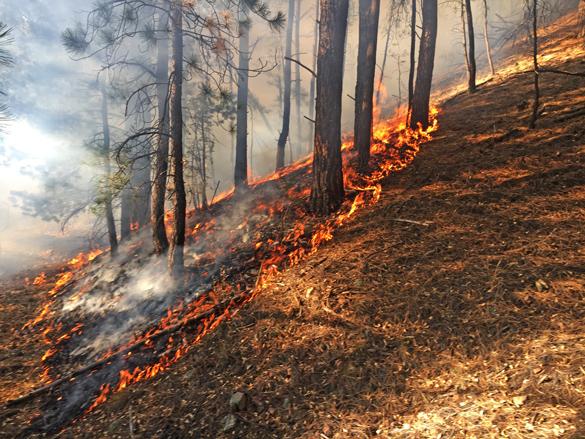 Rebuilding Place in the Urban Space: South Florida, Tulsa, and Santa Fe ...