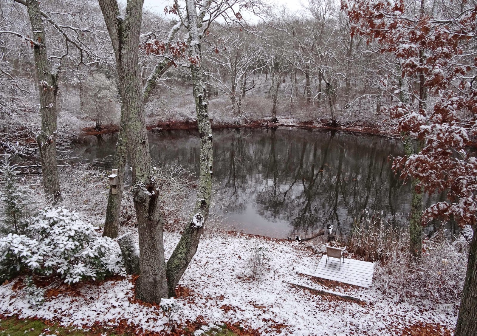 Joe's Retirement Blog: November 2014