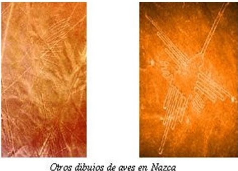 GUÍA del BUSC@DOR: La Cara de Nazca
