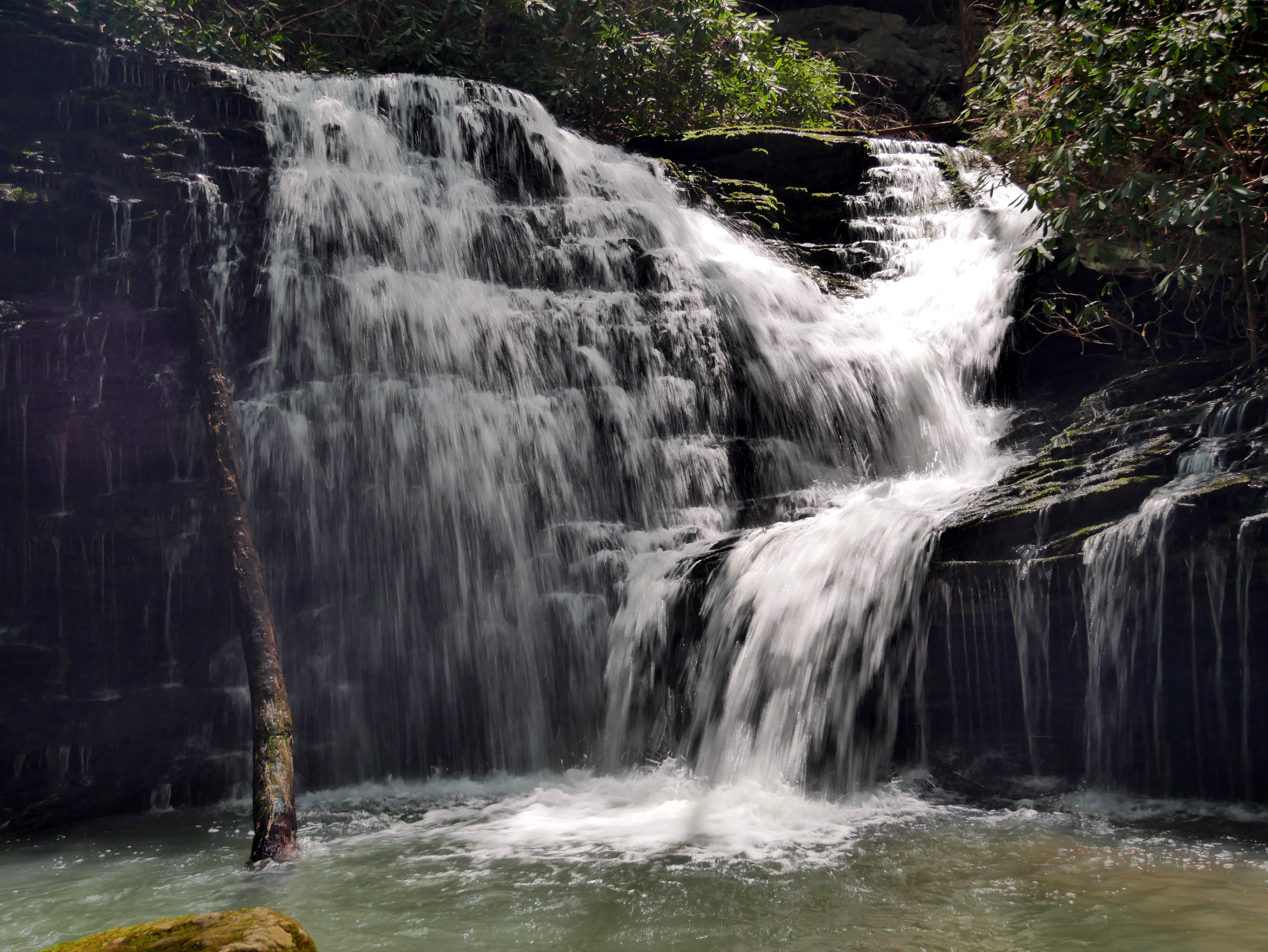 American Travel Journal: Bridge Trail and Lilly Bluff Overlook - Obed ...