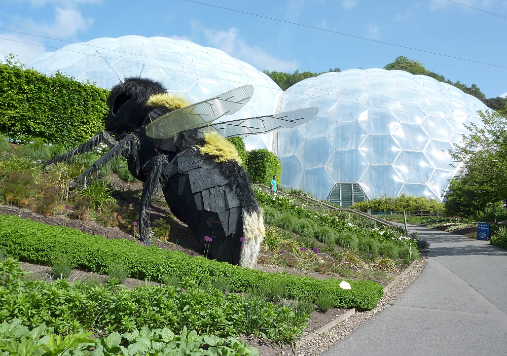 Another Side of this Life: Island Odyssey: Fowey