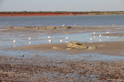 Literacy, families and learning: Australian Indigenous Literature: A ...