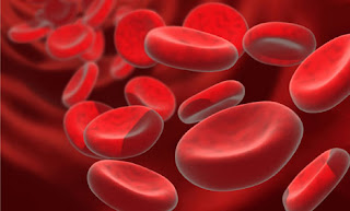 Histologi Eritrosit,Leukosit,Trombosit