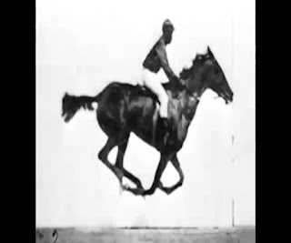 Sallie Gardner At A Gallop - 1878