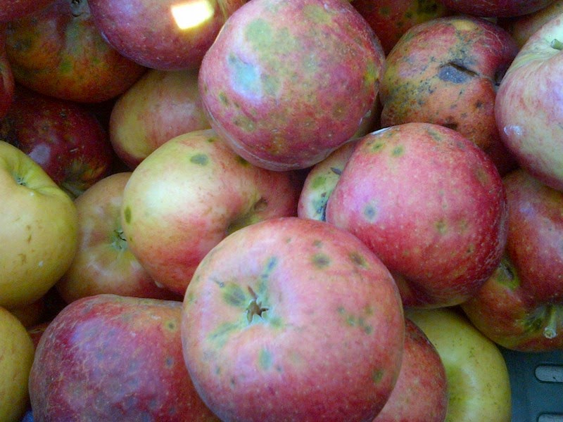 The Produce Savant: Pink-a-boo! I can see you! (Or, The Big Apple ...