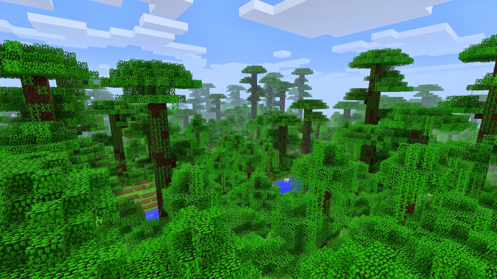 Minecraft Tips And Tricks: Biomes