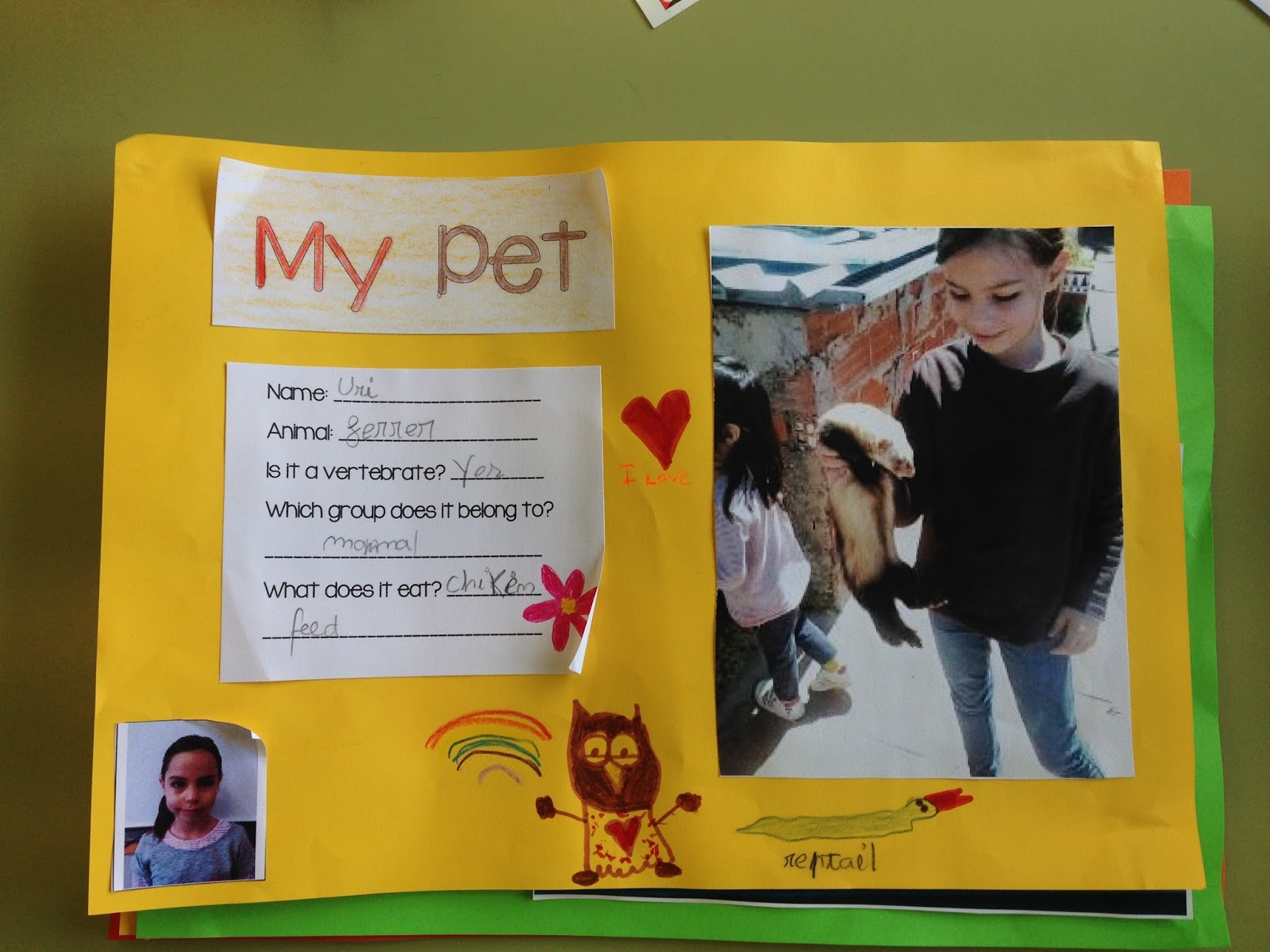 SCIENCE IN THE SCHOOL: My Pet