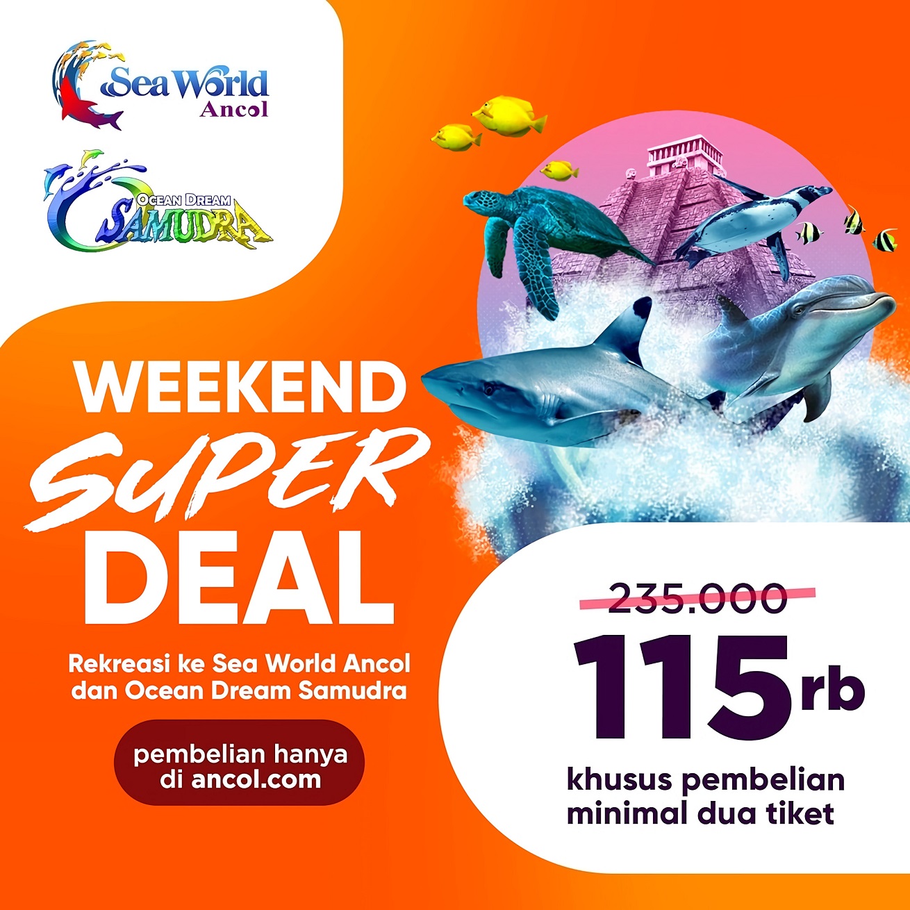 Promo Seaworld Weekend Super Deal hanya Rp. 140.000 All Day - scanharga