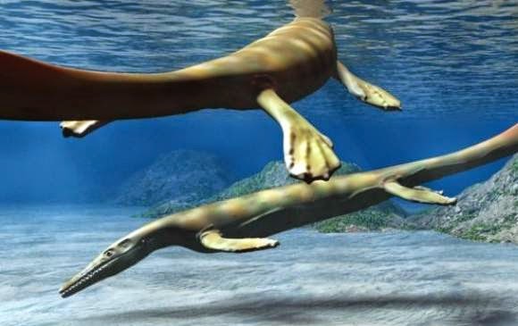 El primer mosasaurio colombiano completo fue encontrado en el Tolima