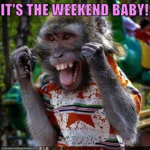 How to have a fantastic weekend