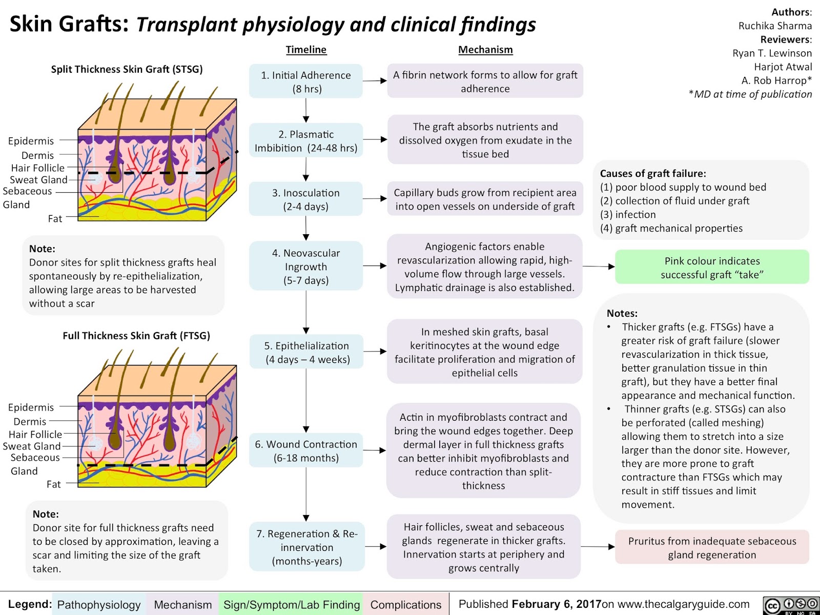 EXAMS AND ME : Saving Your Skin
