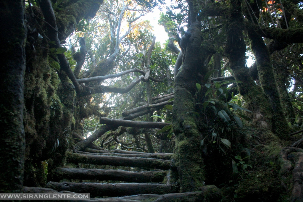 SIRANG LENTE | TRAVEL & HIKE: MT. TABAYOC, BENGUET: HIKING GUIDE AND ...