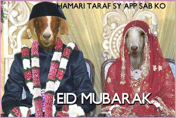 Eid Mubarak Funny Wallpaper | Facebook Wall Sharing Wallpaper | High ...