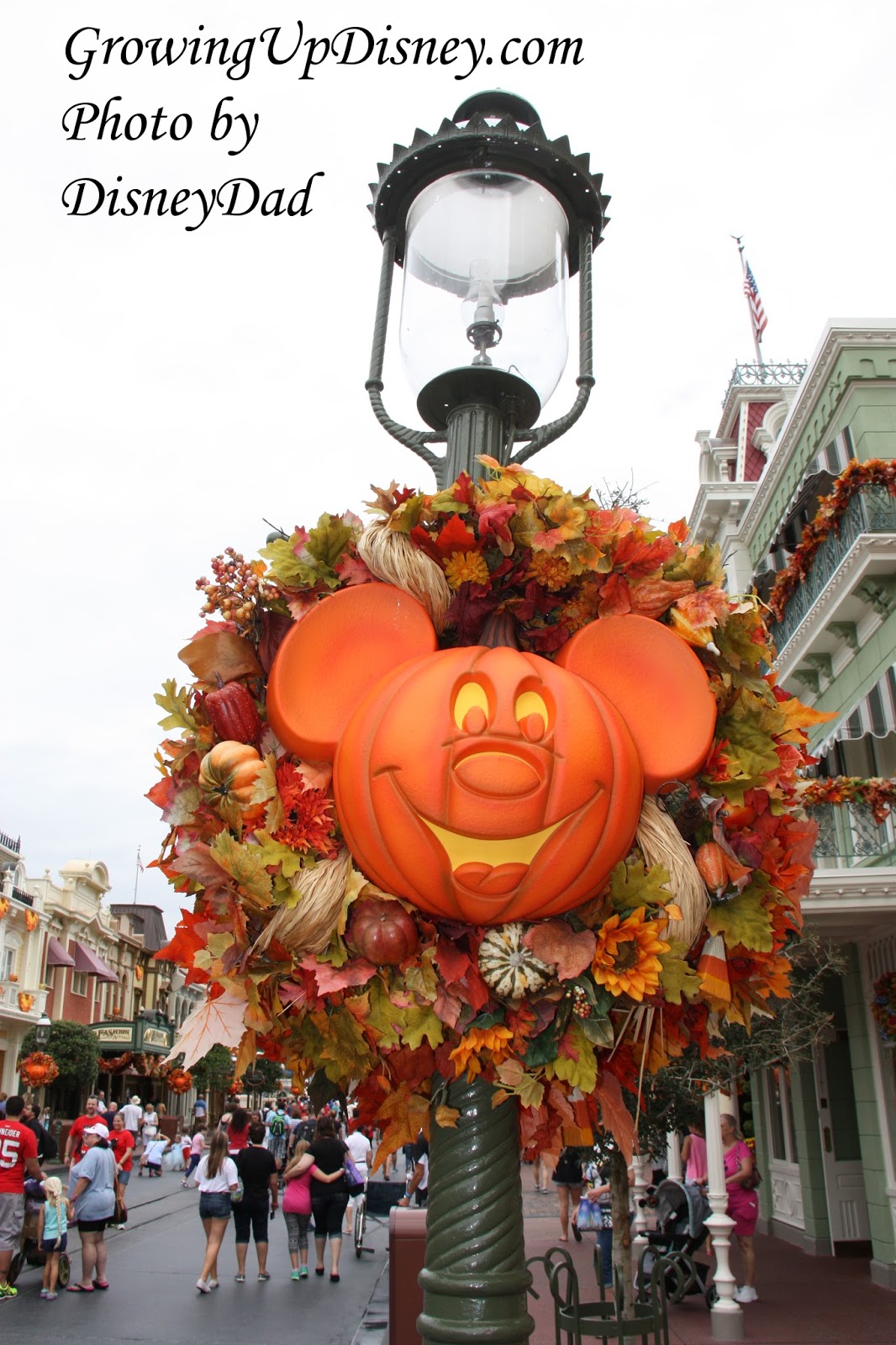Growing Up Disney: Photo Flashback: Disney World Vacation October 2015