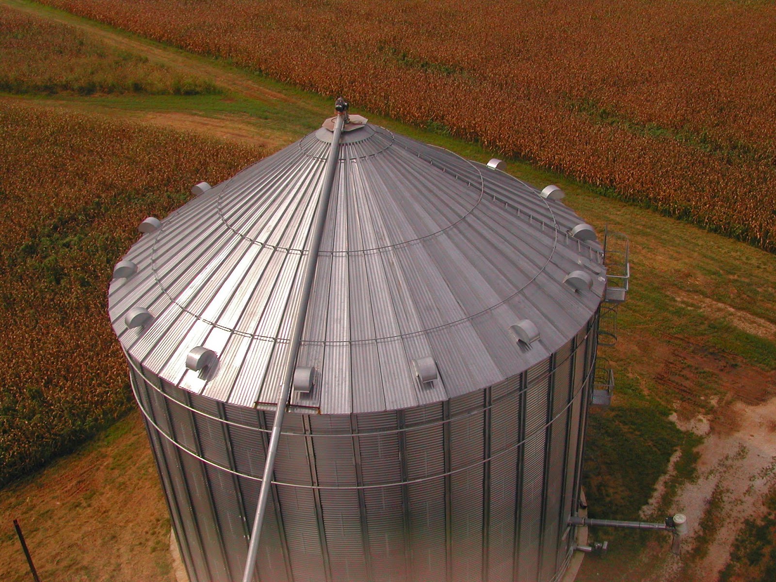 Grain Crops Update: Shelling Corn Early? Watch That Moisture!