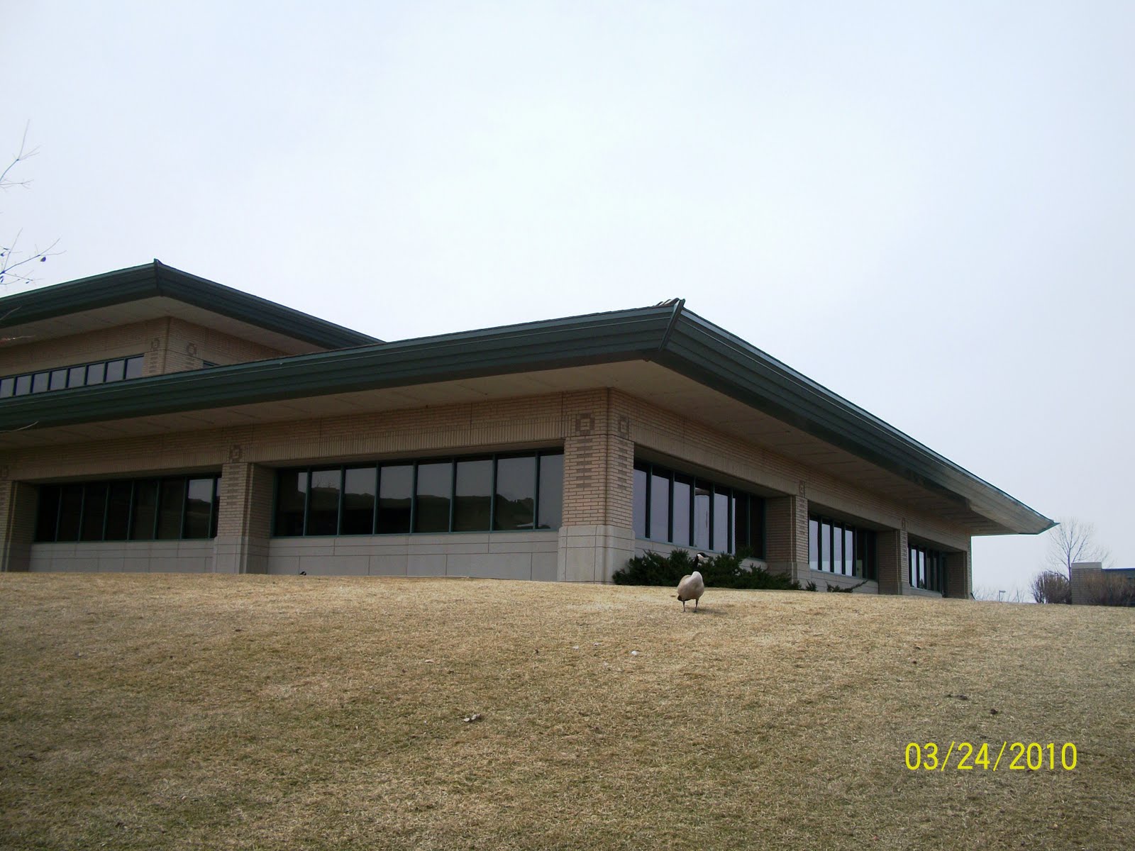 History and Culture by Bicycle: Tyson Fresh Meats Headquarters Building
