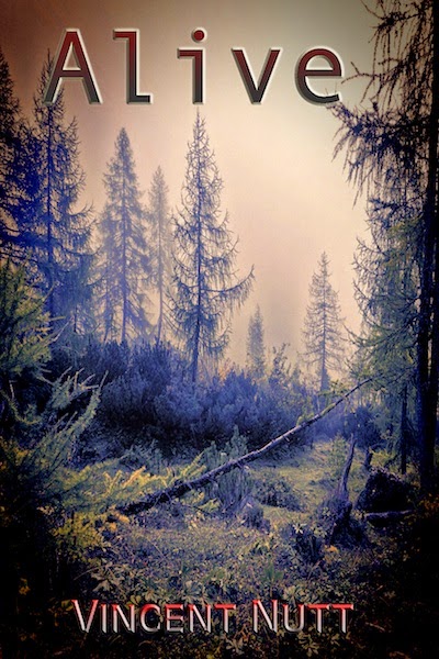 Vincent Nutt (Author): Books