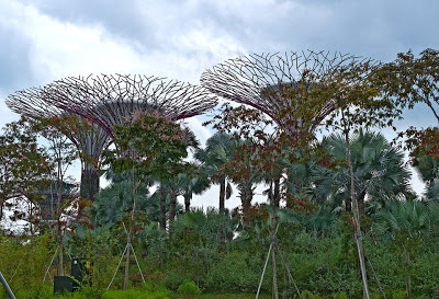 Streamlight Photography: 50 meter man-made Super trees!?...