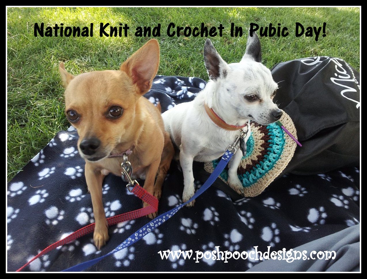 Posh Pooch Designs : Live With Sara - Gauge, Tension And Tie Dye | Posh ...