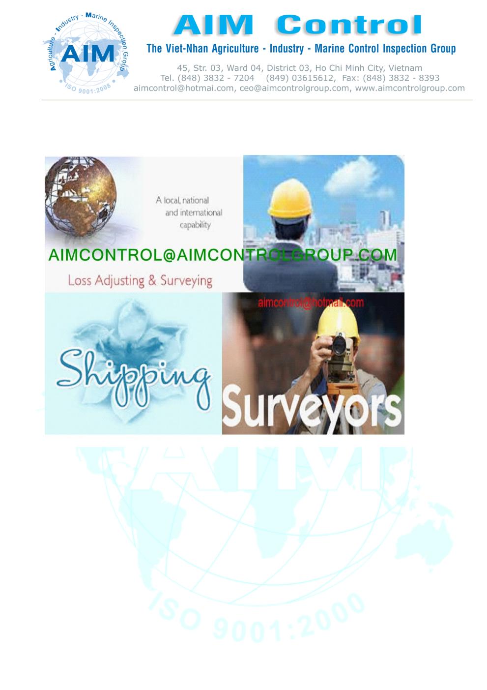 DAMAGE SURVEY: DAMAGE SURVEY