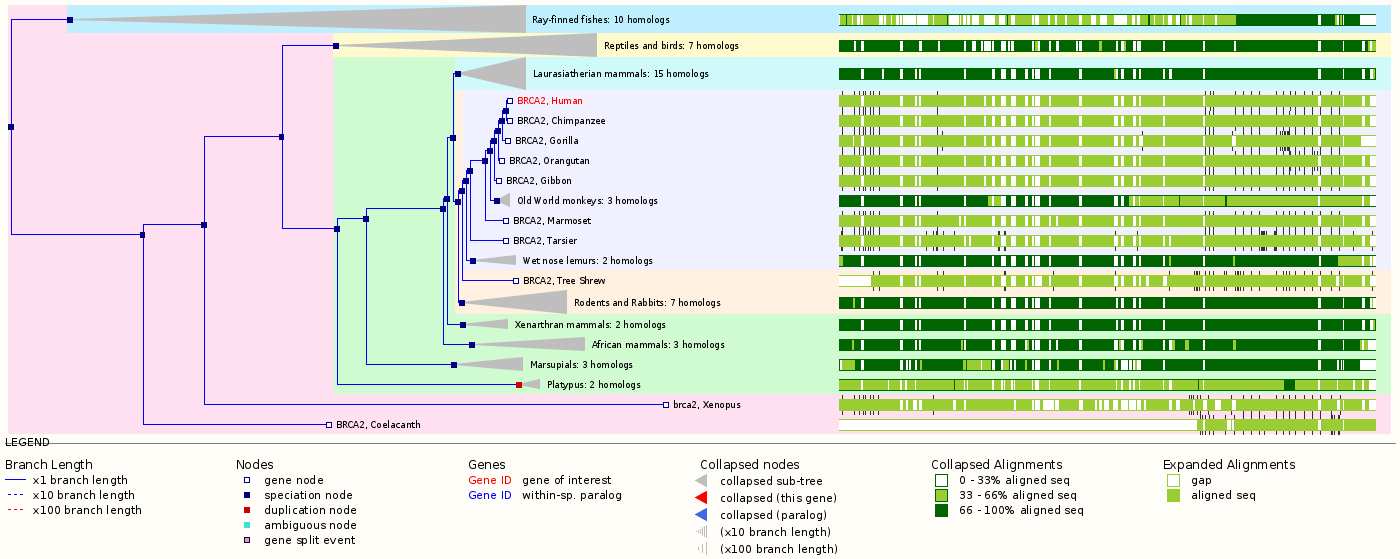 avrilomics: Plotting a phylogenetic tree with the alignment, using ete2 ...