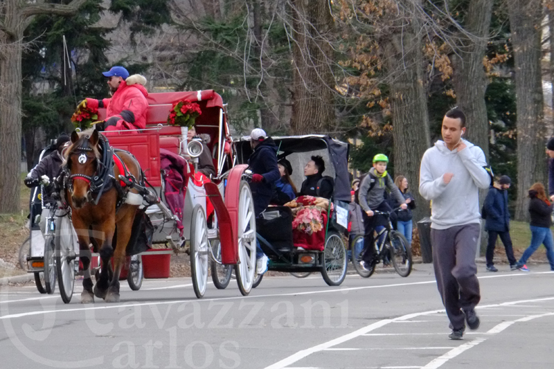 TANGOGRAFÍAS: COCHERO DE PLAZA