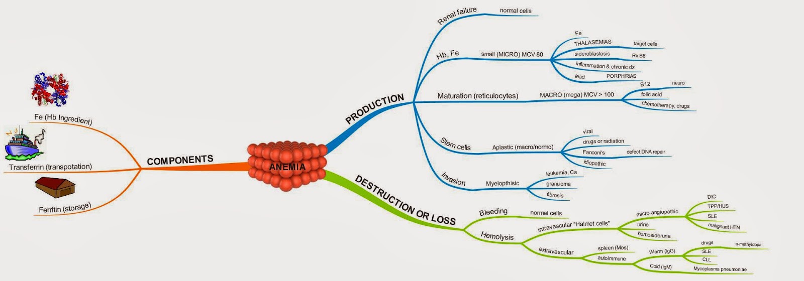 Medical MindMaps for USMLE Step 1: Anemias Overview