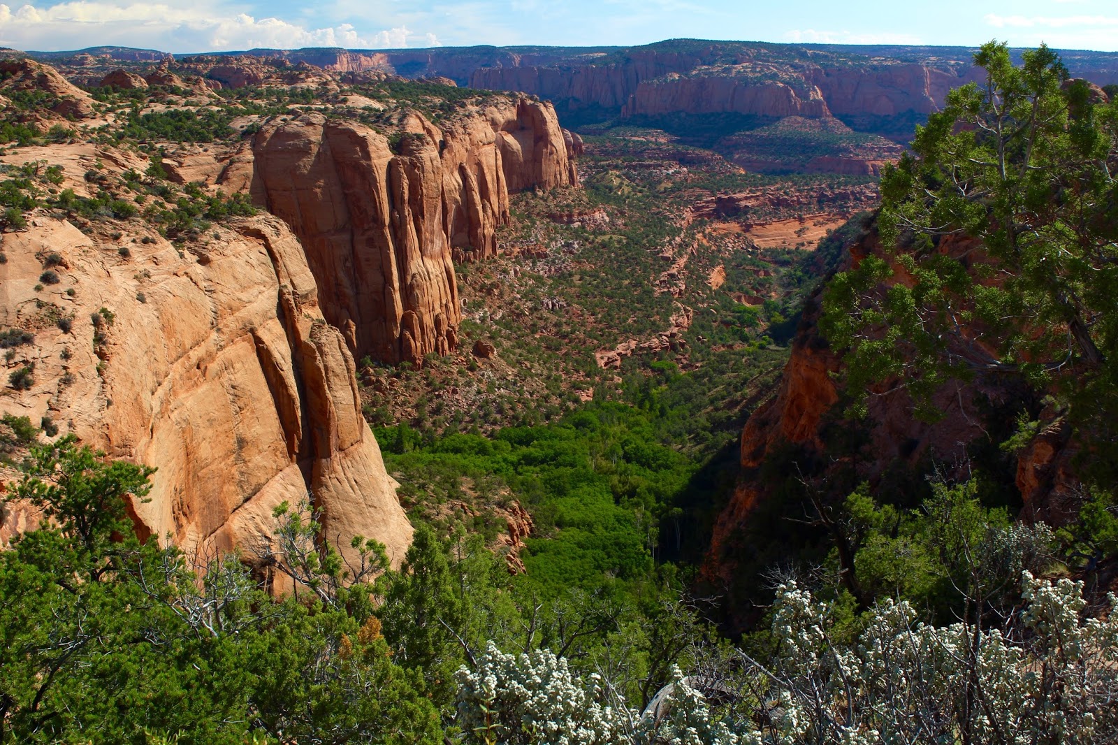 Wandering w/ Serenity: Navajo National Monument
