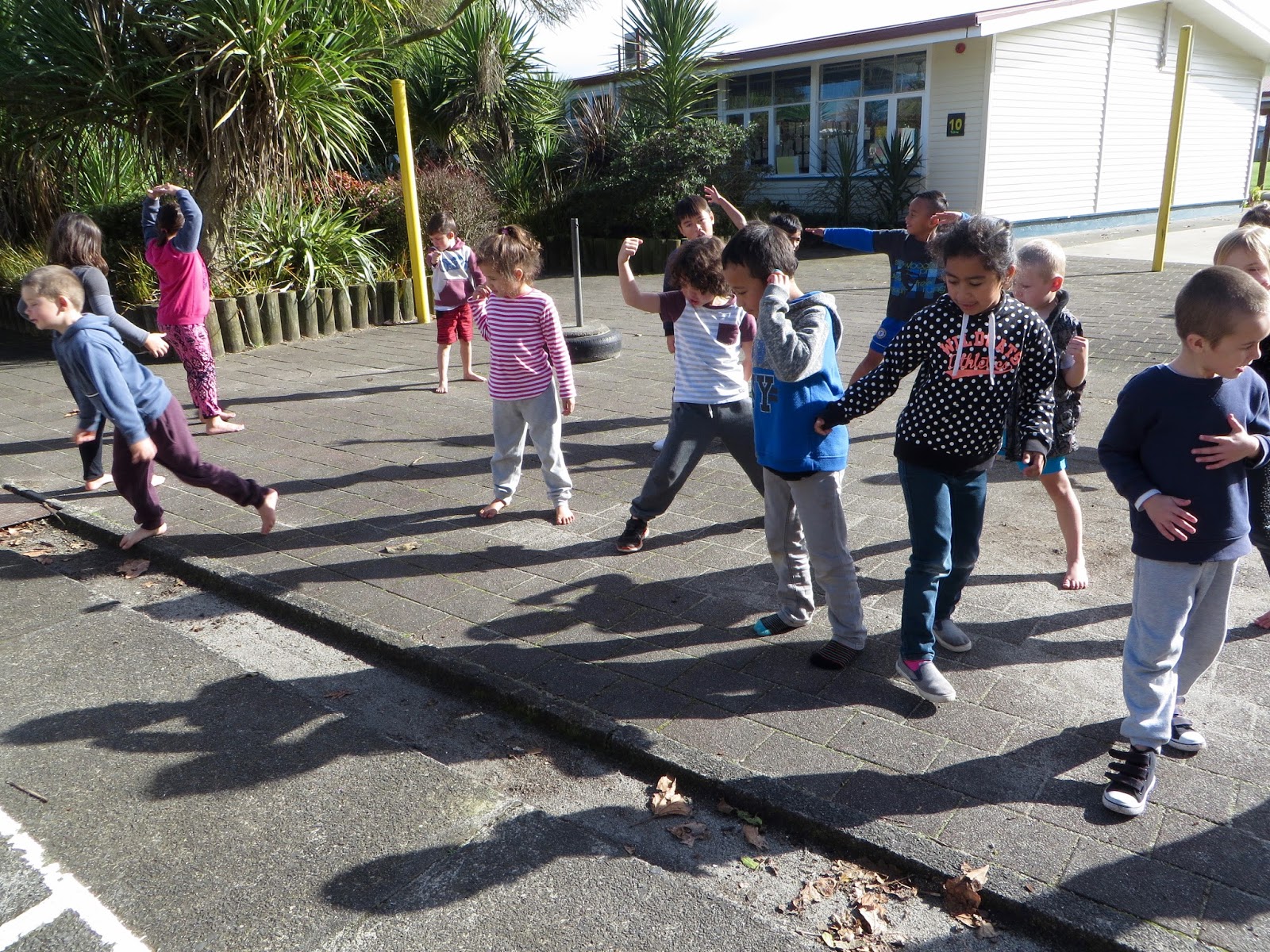 Room 3 Firth Primary School: Shadows