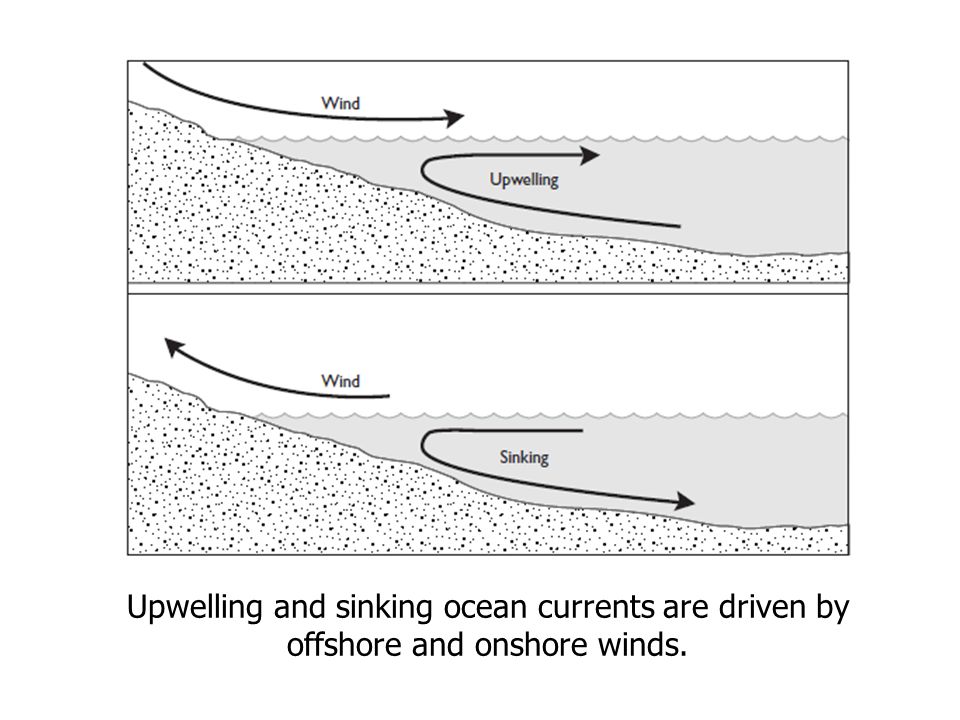 Upwelling dan Sinking : Pengertian dan Proses Terjadinya - geografi81