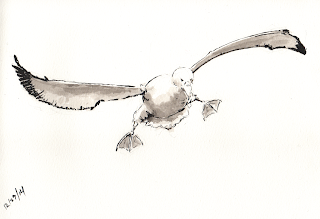 Revenge of the Pencil: Albatross!