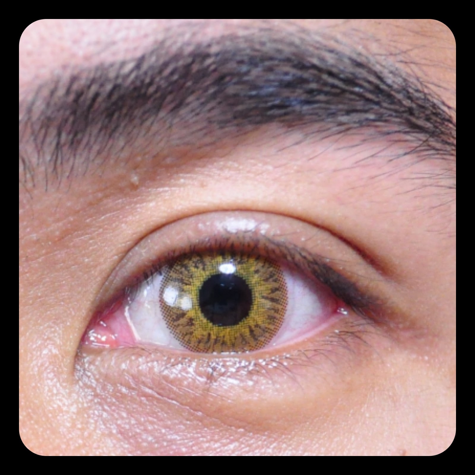 Geek In Pink: Freshkon - Warm Hazel review