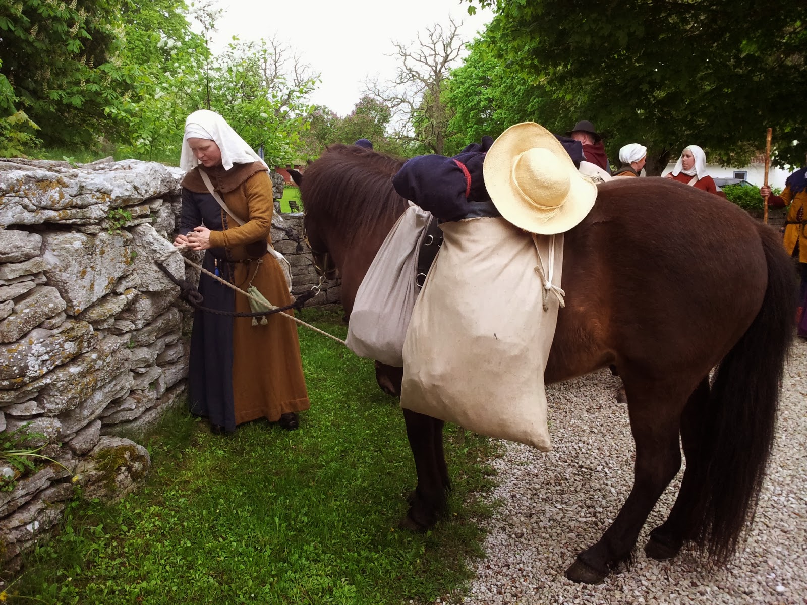 Arachne's Blog: A Cloak for a Medieval Pilgrimage