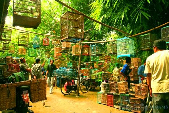 Catatan Perjalanan Outdoor Travelling: Hari Pasaran : Puncak Keramaian ...