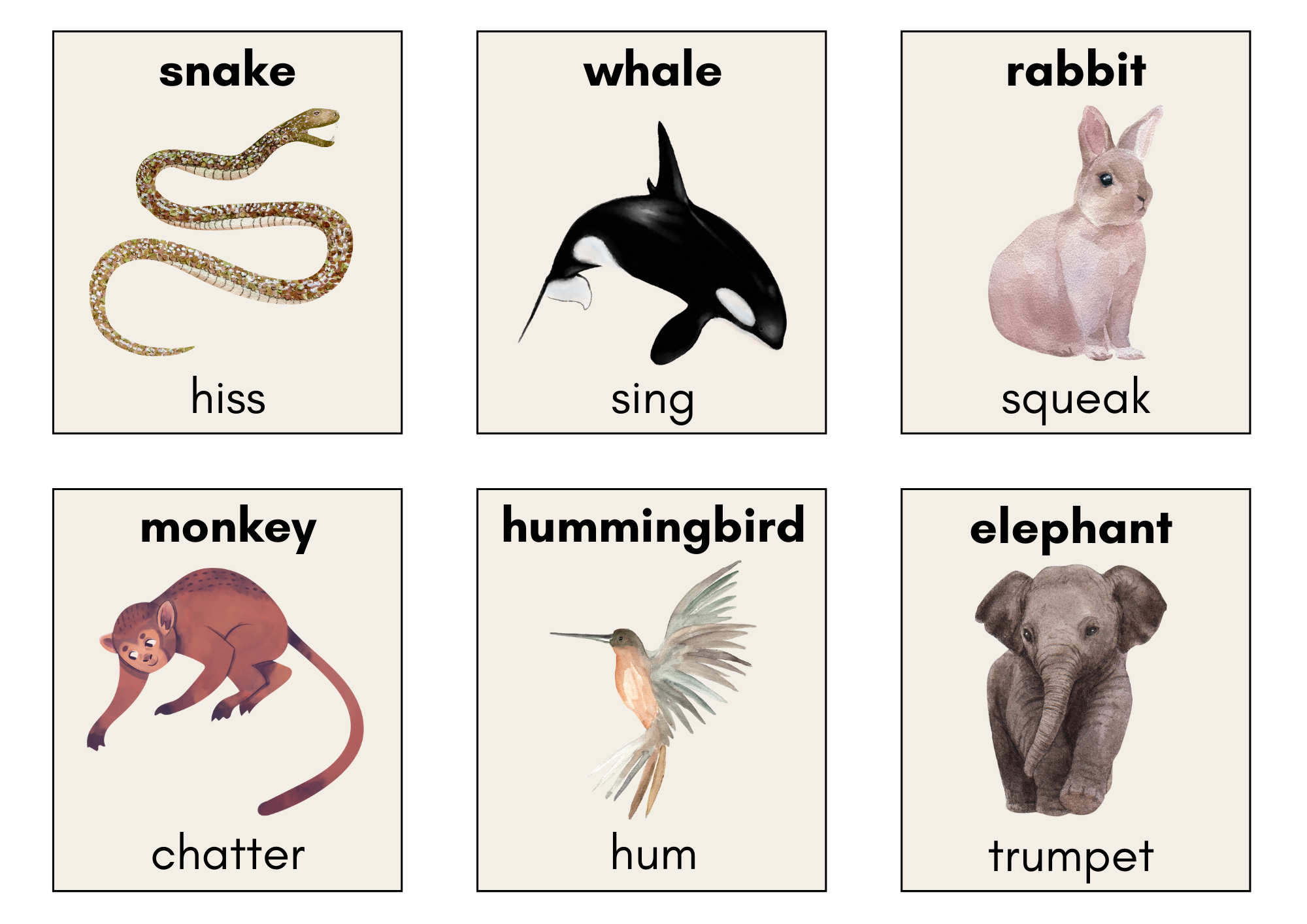 Teacher Arlene: Animal Sounds Flashcards
