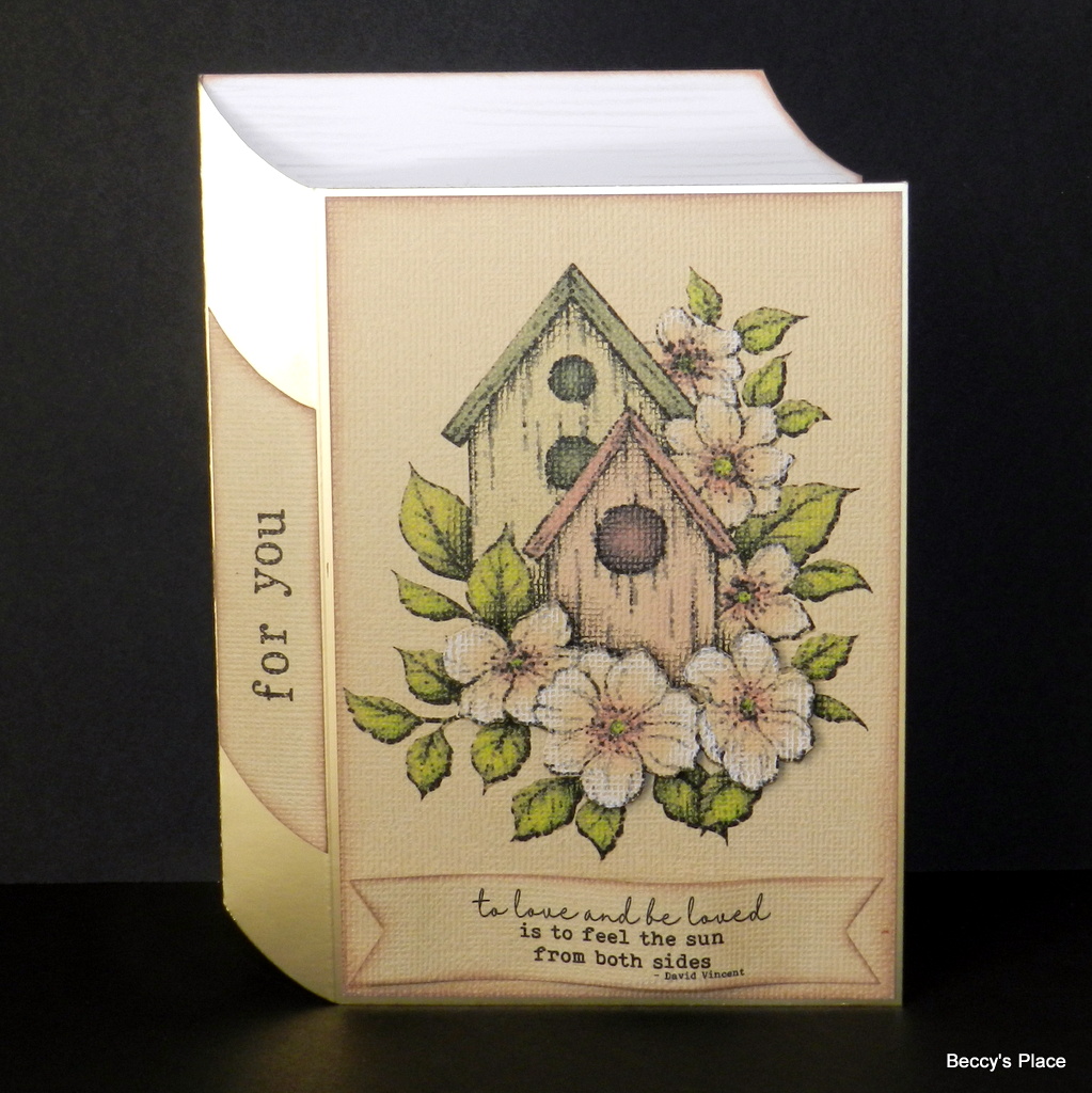 Beccy's Place: Tutorial - Book Fold Cards