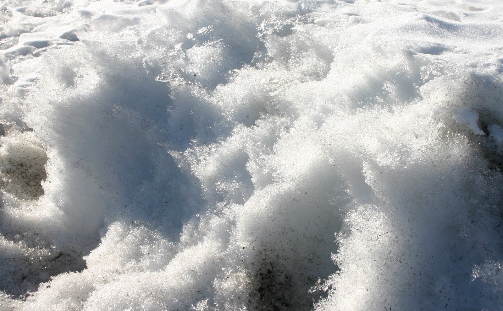 My Temple of Nature: Strange Snowscapes