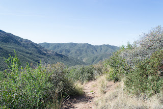 A Troll in the Woods: Reavis Ranch Backpacking Trip March 2016